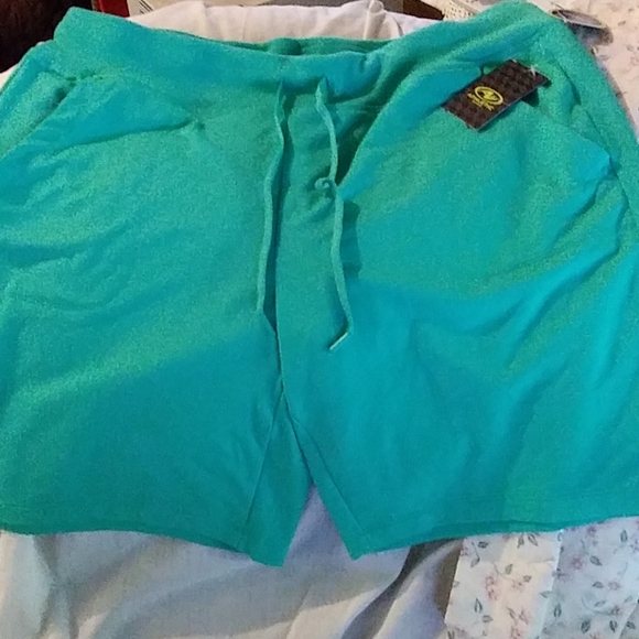 Z Athelic | Shorts | Nwt Large Mint Green Z Athlete Shortstdb4 | Poshmark
